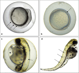 Verordening testmethoden REACH; C.49 Acute toxiciteitstest bij ...